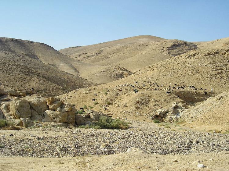 Green Pastures? – A Beautiful Mess